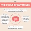 Gut Health and PCOS - PCOS Weightloss | #1 PCOS Resource